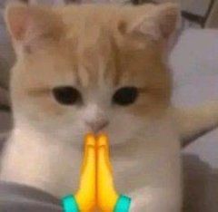 Kumpulan 30+ Meme Mudik Lebaran yang Kocak dan Relate Sama Kehidupan ...