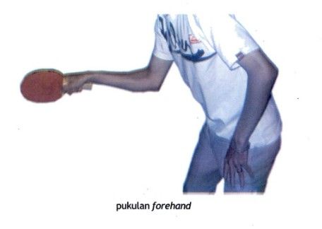 5 Teknik Dasar Tenis Meja yang Perlu Diperhatikan Pemain Sebelum ...
