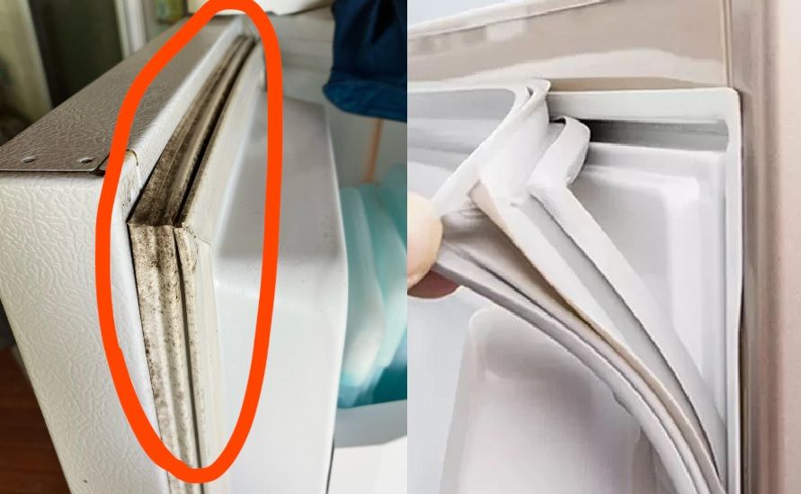 RESEP HAKAU DAN CARA MELIPATNYA! GAMPIL BANGET! | MENDADAK MASAK