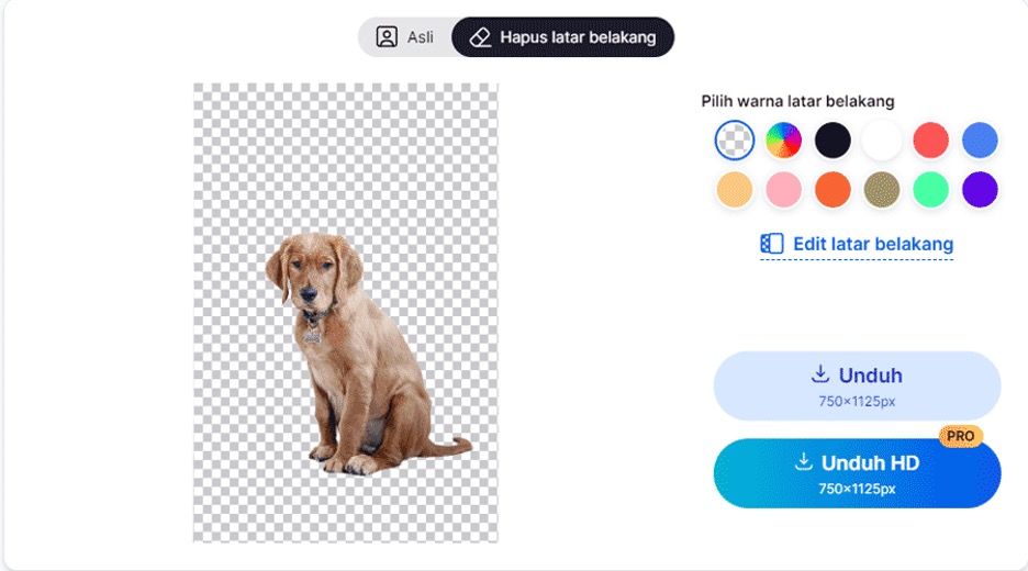 Mau Hapus Background Foto Secara Online? Begini Caranya! - Halaman 3 ...