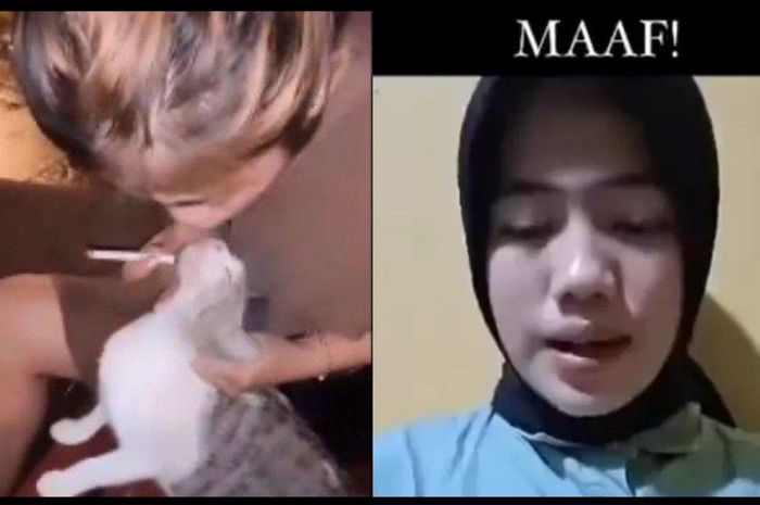Astagfirullah, Wanita Viral Usai Cekoki dan Sembur Kucing dengan Asap ...