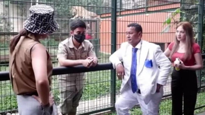 Diisukan Ceraikan Nissa Asyifa, Alshad Ahmad Rupanya Sempat Diminta Hotman Paris Bikin ...