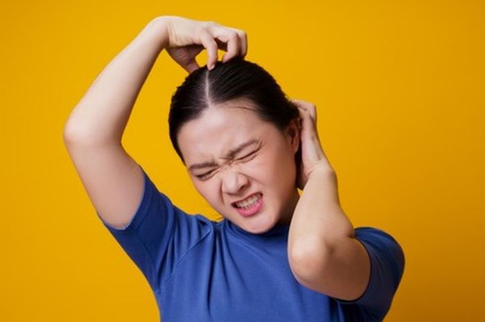 Gatal Karena Ketombe, 3 Sampo Bikin Rambut Bersih di Bawah Rp 50 Ribu ...