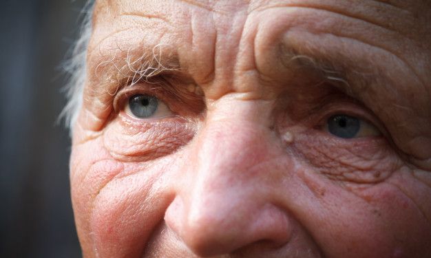 Jangan Sampai Salah Lagi, Ini Manfaat Bunga Katarak yang Sebenarnya ...