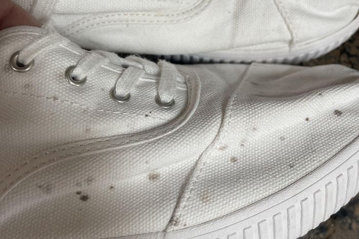 Cara Ampuh Hilangkan Bintik-bintik Jamur di Sepatu, Kinclong Lagi ...