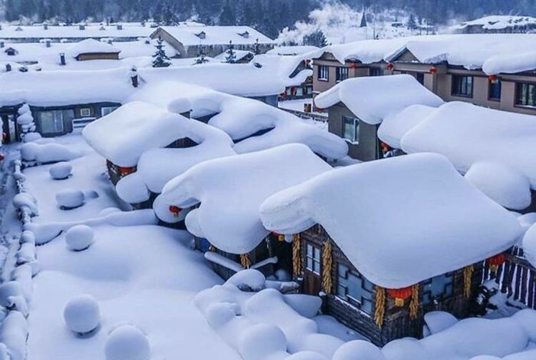 Salju Bukanlah Berwarna Putih? Ternyata Ini Fakta Menariknya yang Wajib ...