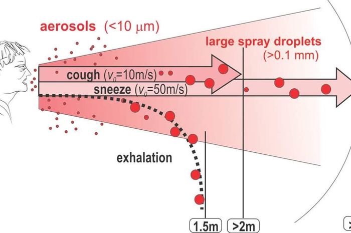Droplet Adalah Media Penularan Covid-19, Tapi Penyebaran Virusnya ...