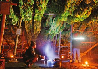 Berita Sejarah Rokok Terbaru Hari Ini - National Geographic