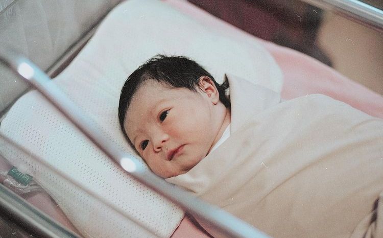 Saking Gemasnya Sampai dapat Sebutan 'Mochi Strawberry', Ini 7 Potret ...