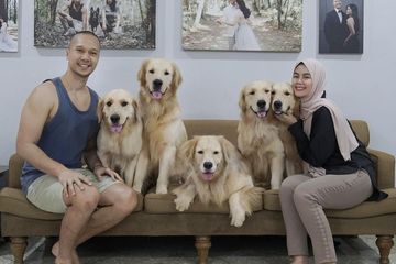 Berita The Golden Family Terbaru Hari Ini - Grid.ID
