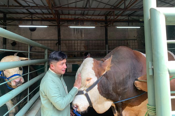 Kelewat Baper, Irfan Hakim Ngaku Pernah Galau Seminggu karena Sapi ...
