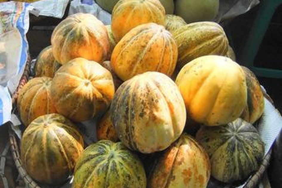 Berita Blewah Matang Terbaru Hari Ini - Nova