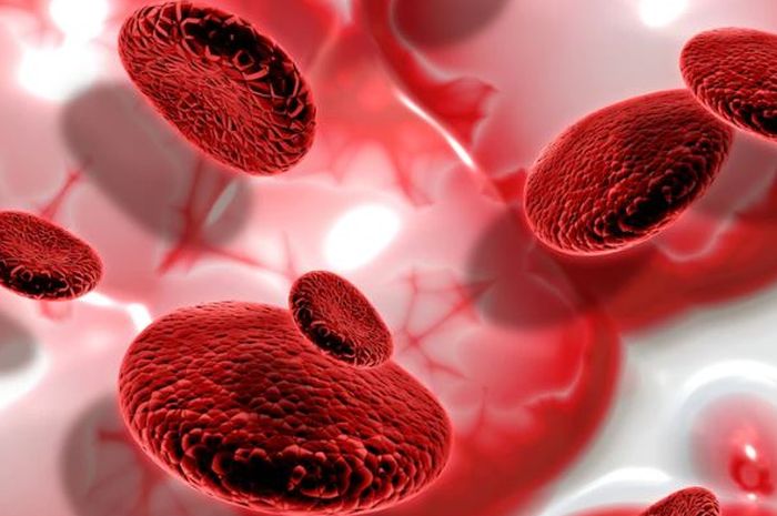 Darah Manusia Terbuat dari Apa? #AkuBacaAkuTahu - Kids