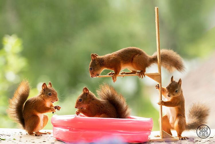 Menggemaskan! Dari Memancing sampai Bersepeda, Fotografer Ini Berhasil ...