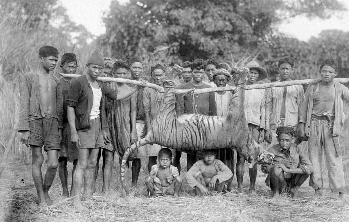 Orang Belanda dalam Perburuan Hewan Buas di Belantara Priangan ...