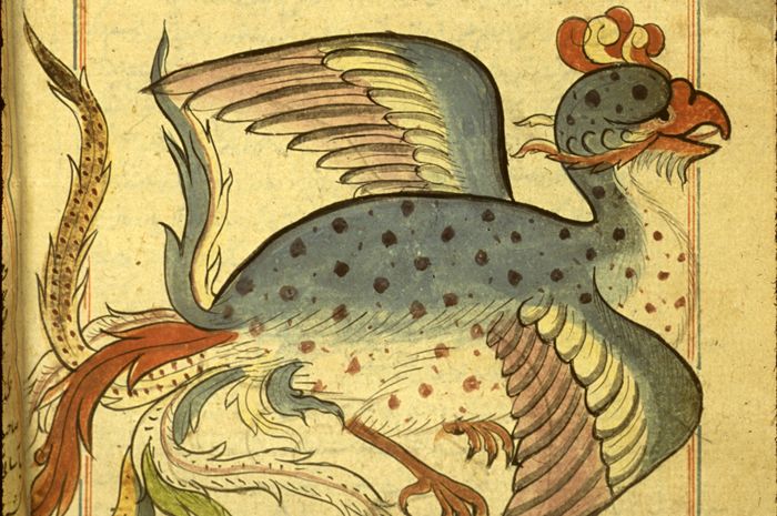 Burung Anqa, Burung Foniks dari Mitologi Timur Tengah Abad Pertengahan ...