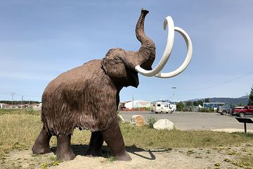 Berita Nun Cho Ga Terbaru Hari Ini - National Geographic