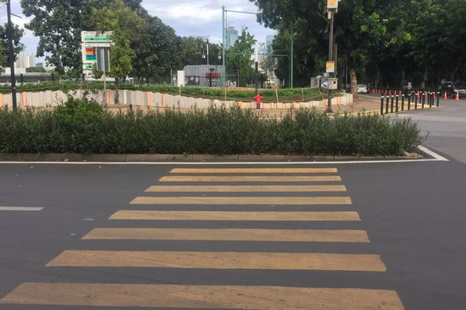 Viral, Zebra Cross GBK Terhalang Tanaman Sehingga Susah Nyebrang. Bukan ...