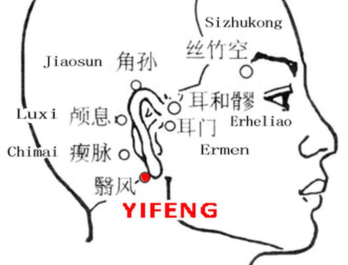 Jika Mengalami Sakit Kepala Vertigo? Pijat Bagian Tubuh Ini, Segar ...