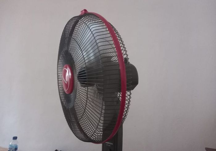 Sebelum Beli, Simak Cara Memilih Kipas Angin yang Tepat untuk di Rumah ...