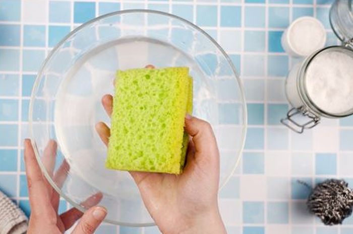 Belasan Tahun Nyuci Piring Gak Tahu, Coba 10 Menit Rendam Spons Cuci ...