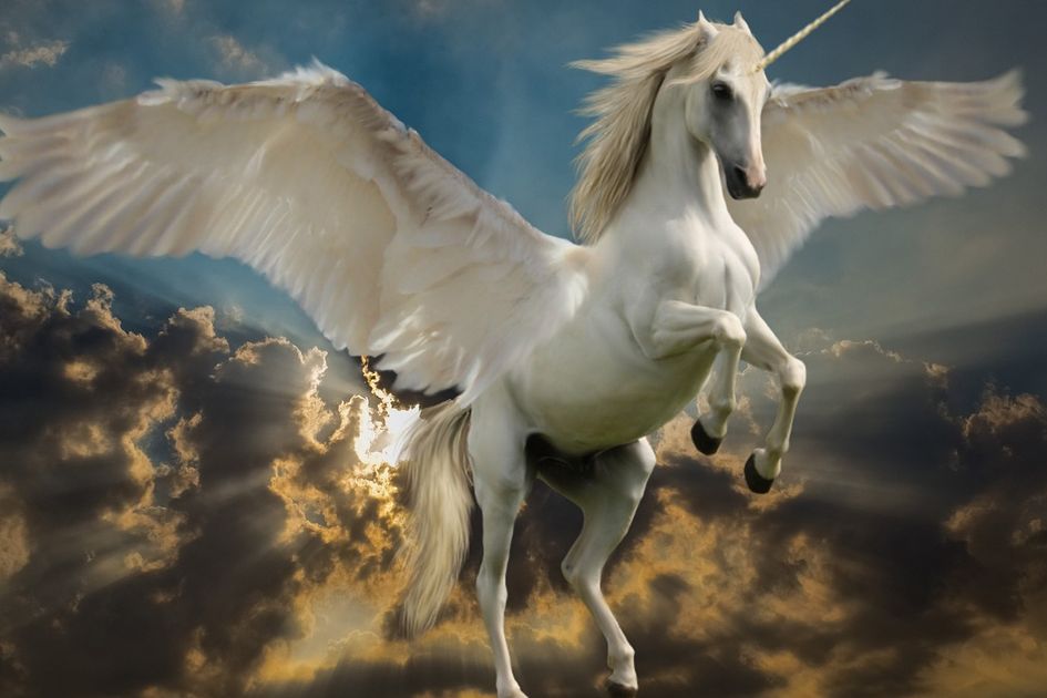 Berita Berani Terbaru Hari Ini - Bobo