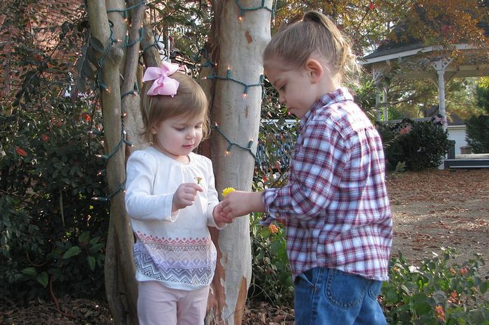 5 Contoh Dialog Offering Help and Service Bahasa Inggris, Lengkap ...