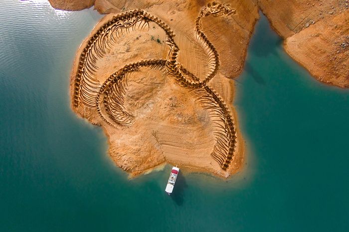 Curigai Benda Misterius di Lumpur, Pekerja Ini Temukan Fosil Naga Laut ...