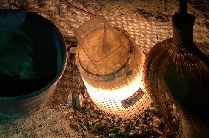 Cara Merawat Ari-ari Bayi Sebelum Dikuburkan, Hanya Perlu Siapkan Bahan ...