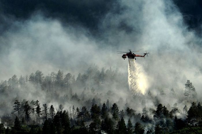 9 Bahaya Kabut Asap bagi Kesehatan Pernapasan, Kelas 5 SD Tema 2 - Kids