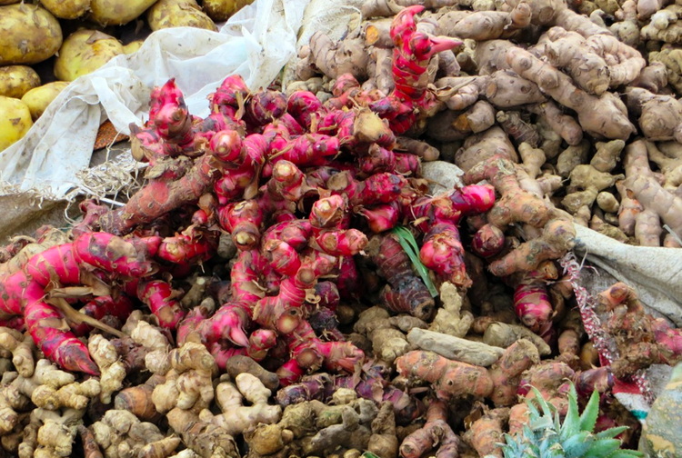 Bukan Cuma Satu Jenis, Ternyata Ada 3 Jenis Jahe dengan Rasa yang ...