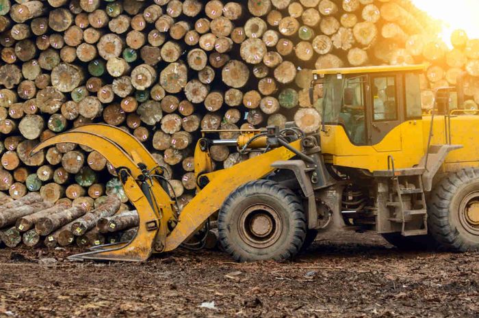 15 Contoh Kegiatan Manusia yang Bisa Merusak Ekosistem Lingkungan ...