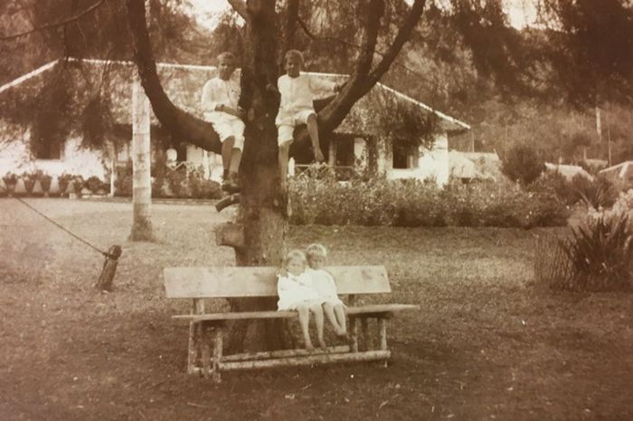 Keluarga Kerkhoven dan Bosscha, Dinasti Teh Belanda di Priangan ...