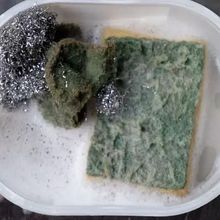 Sang Gladiator Vicky Prasetyo Berduka Ditinggal Mantan Ibu Mertua yang ...