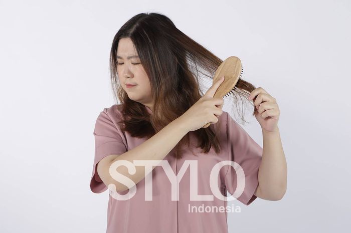 Pelembap Rambut Kering dari Bahan Alami Agar Batang Rambut Glowing - Stylo