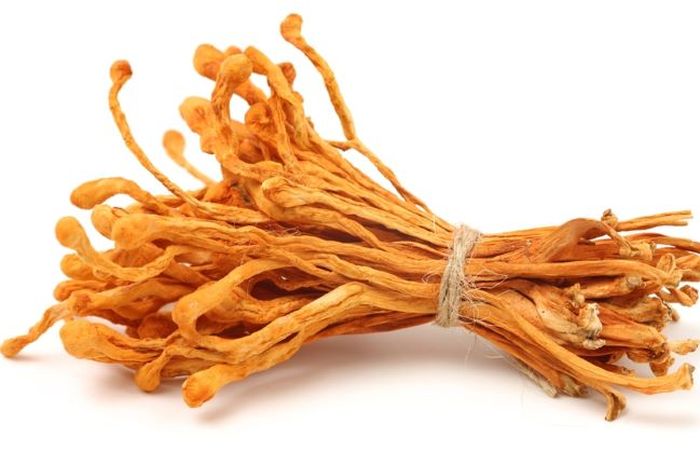 Jamur Cordyceps yang Bikin Manusia Jadi Zombie Di The Last Of Us ...