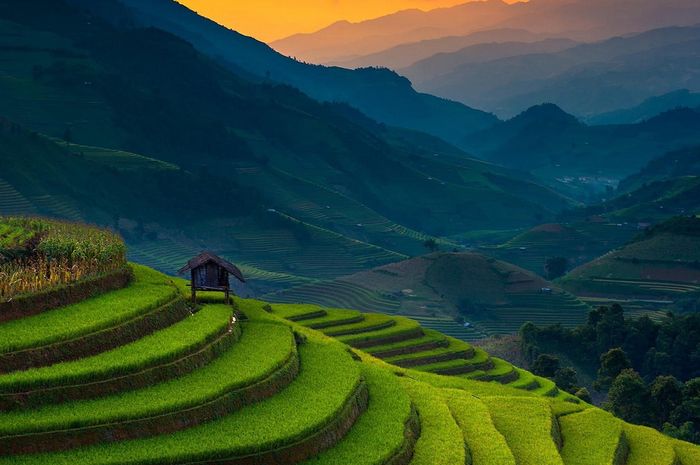 6 Contoh Ekosistem Buatan di Lingkungan Sekitar, Materi Kelas 5 SD - Bobo