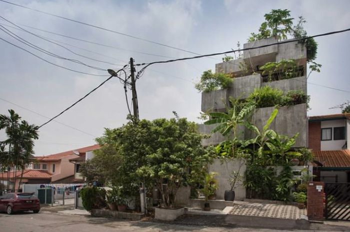 Intip Konsep Desain Urban Farming di Planter Box House, Cara Mudah ...