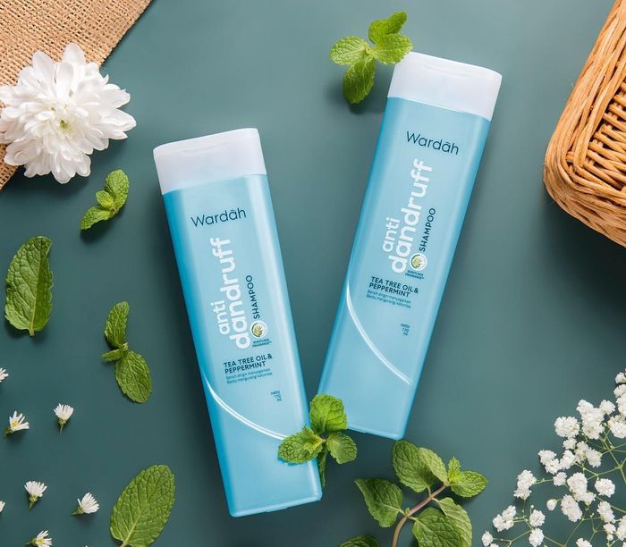 3 Rekomendasi Sampo Hijab yang Ampuh Untuk Atasi Rambut Bau dan ...