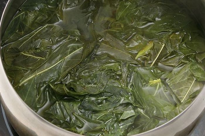 Mulai Malam ini, Coba Rebus Daun Singkong Lalu Minum Airnya, Seisi ... Mulai Malam ini, Coba Rebus Daun Singkong Lalu Minum Airnya, Seisi ...