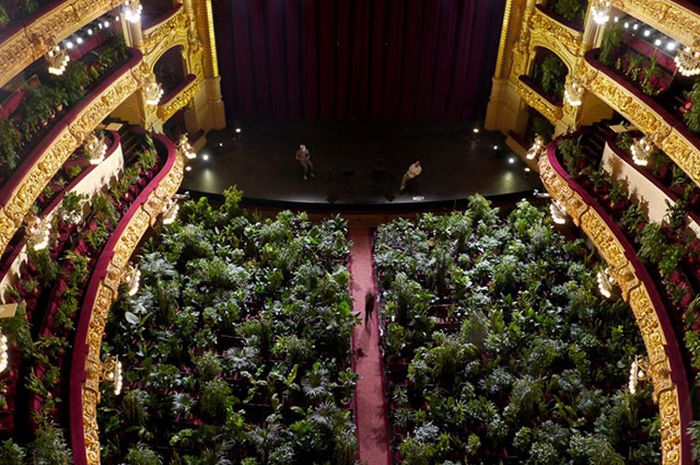 Tumbuhan Xerofit: Pengertian, Habitat, Ciri-Ciri, dan Contohnya - Kids