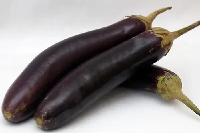 Trik Menyimpan Terong Agar Awet: 3 Cara Lengkap Simpan di Suhu Ruangan ...