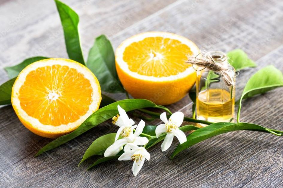 Berita Bunga Jeruk Terbaru Hari Ini - Grid.ID