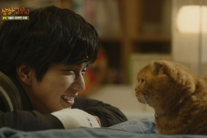 4 Info Drama Korea Bertema Pencinta Hewan. Cat Lovers Wajib Nonton! - CewekBanget
