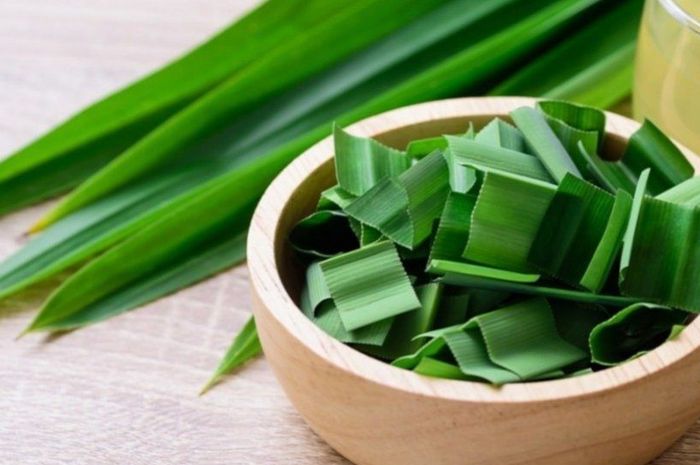 Pantas Seisi Rumah Kaget! Iseng Taruh 3 Lembar Irisan Daun Pandan di ... Pantas Seisi Rumah Kaget! Iseng Taruh 3 Lembar Irisan Daun Pandan di ...