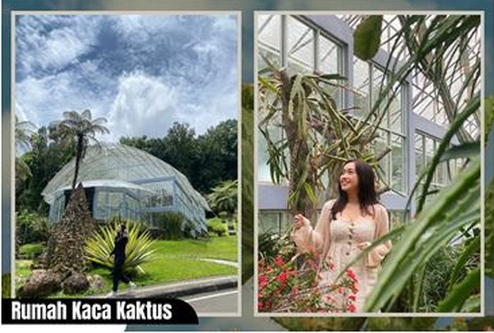 5 Spot Foto Kebun Raya Bali Paling Instagramable dan Wajib Dikunjungi