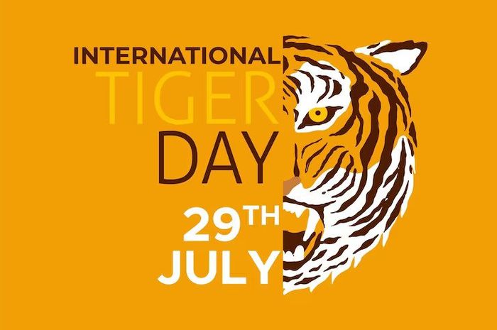 Hari Harimau Sedunia 29 Juli: Kenapa Harimau Penting Bagi Kehidupan ...