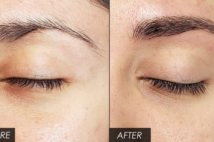 Cukup 15 Menit, Alis Tipis Bisa Tebal Secara Alami Cuma Dioles Bahan ...