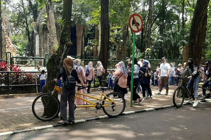Berapa Harga Sewa Sepeda di Kebun Binatang Ragunan? Ini Syarat dan ...