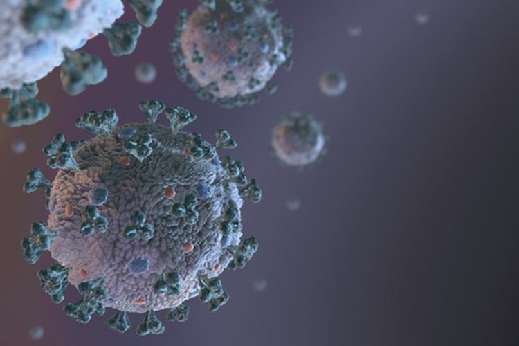 Berita Kemokin Terbaru Hari Ini - Grid.ID